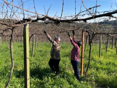 Dia do Colono: agricultores relatam o orgulho da profissão ...
